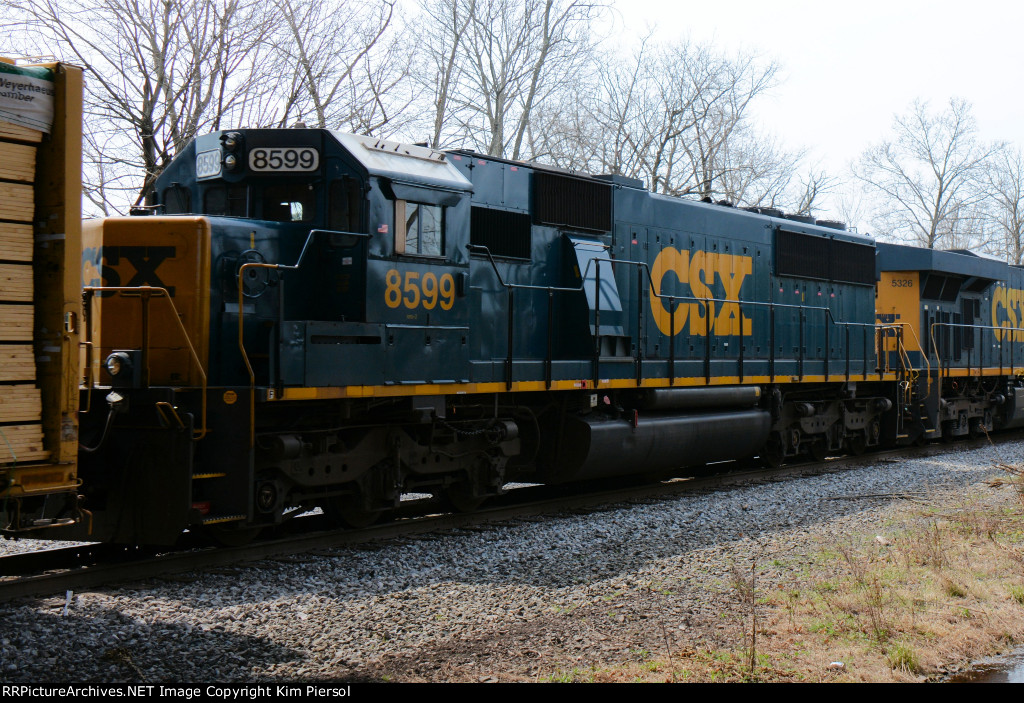 CSX 8599